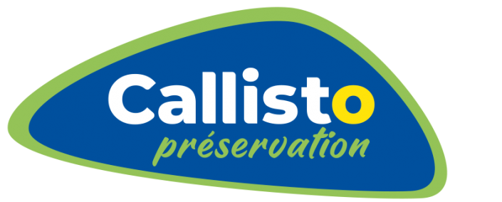 logo-callisto-preservation-800px - CALLISTO System